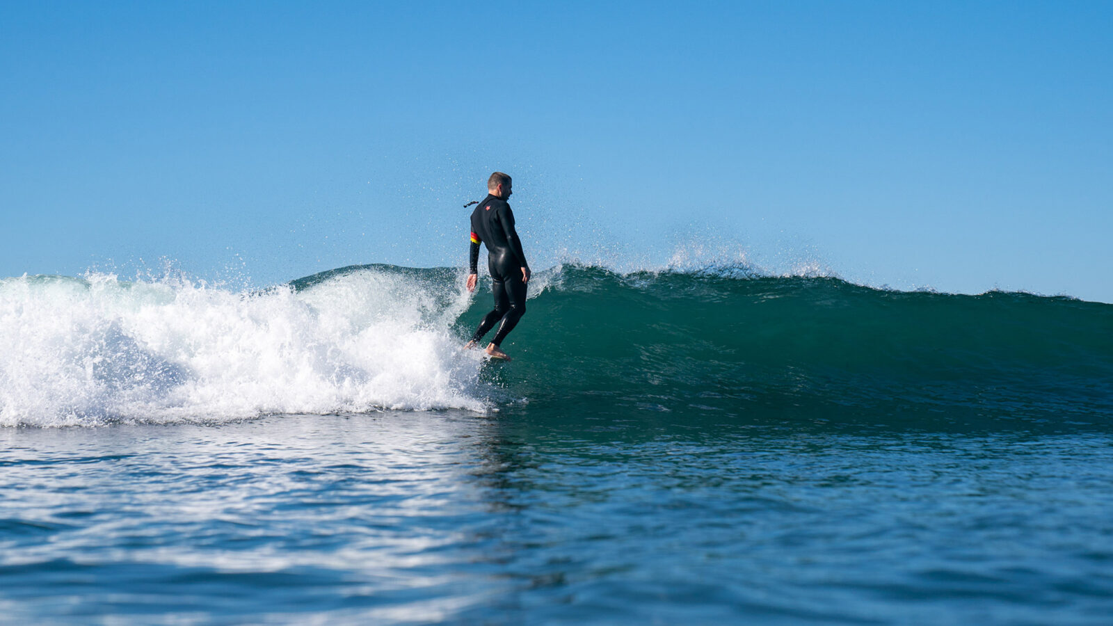 APEX - CJ Nelson Designs